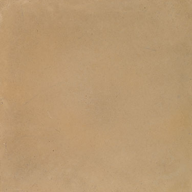 Opiniones de caqui color